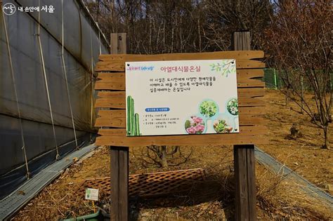 서울시 내 손안에 서울