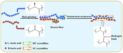 Schematic Of Stereo Complexation Process For Pllapdla Fiber