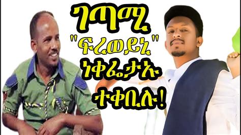 መሓሪ ጠዊል መን እዩ መበቆል ደርፊ ፍረወይኒ ከ ካበይ መጺኡ Youtube