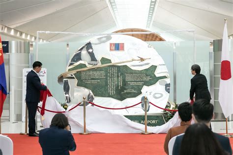 ГҮЙЦЭТГЭХ ЗАХИРЛЫН МЭНДЧИЛГЭЭ Nubia Llc