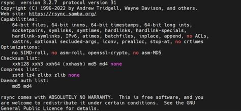 rsync on esxi 7