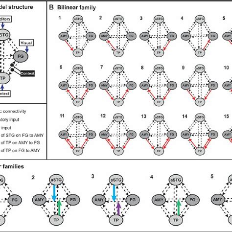 Model Space A Basic Model Structure With Nodes Intrinsic Download Scientific Diagram
