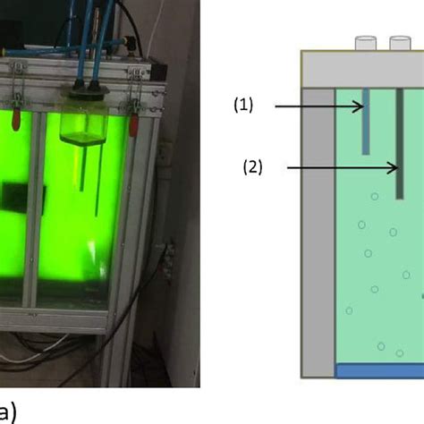 Growth Pattern Of B Braunii In Flat Panel Photobioreactor At Different Download Scientific