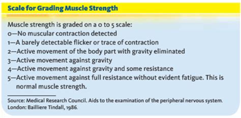 FCP III MSK Dermatomes Strength And Reflex Grading Flashcards
