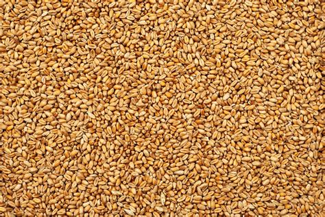 What Is Data Grain SKUtrak