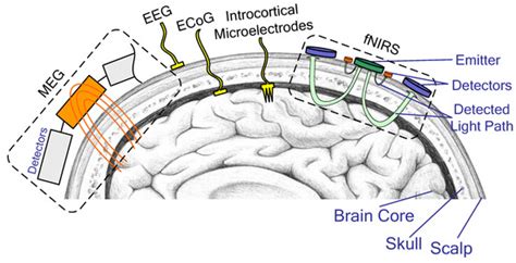 Sensors Free Full Text State Of The Art On Brain Computer Interface
