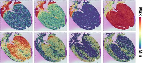 Research Medical Research Lab In Houston Martin Heart Lab