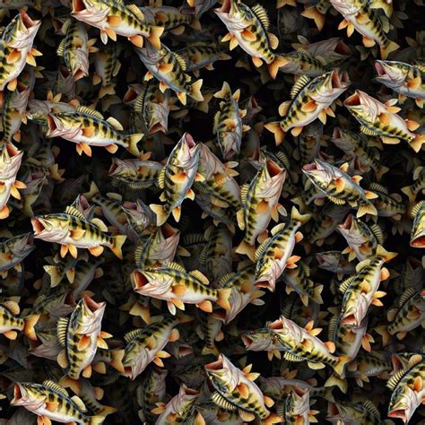 Striper Bass 25 Pattern Crew