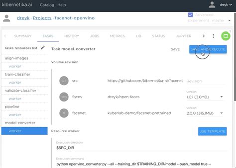 Using Openvino Kibernetika Documentation