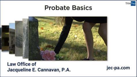 Probate Basics Fort Lauderdale Dania Beach Hollywood Fl Jacqueline E Cannavan Pa