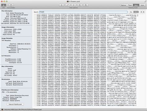 File Viewer For Os X Näytä Kaikki Tiedostot Macilla