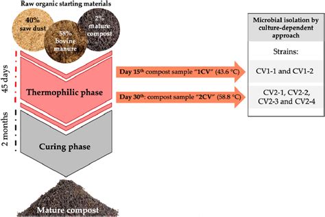 Composting Scheme And Experimental Design Of Microbial Isolation Of Download Scientific Diagram