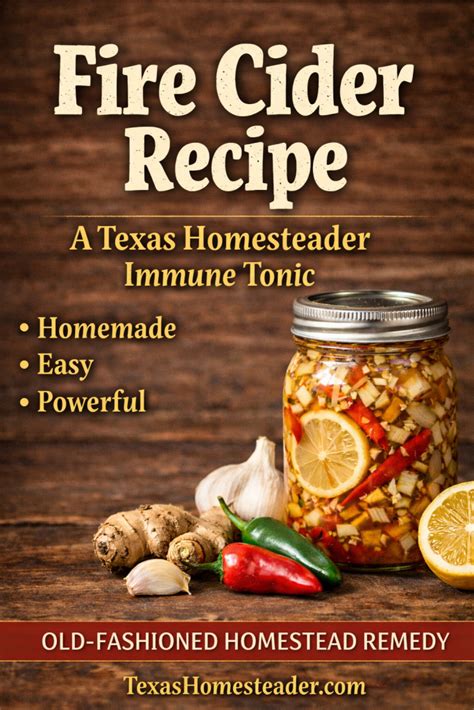 Fire Cider Recipe 5 Must Try Healthy Variations To Enjoy