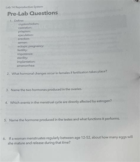 Solved Lab 14 Reproductive System Pre Lab Questions 1 Define