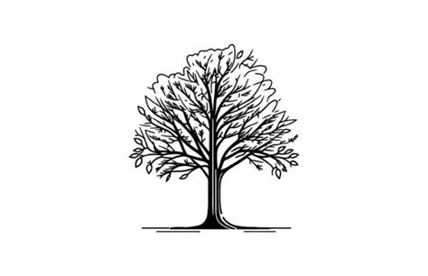 Tree Outline Sketch Drawing Flat Vector Graphic By Gfx Expert Team Creative Fabrica