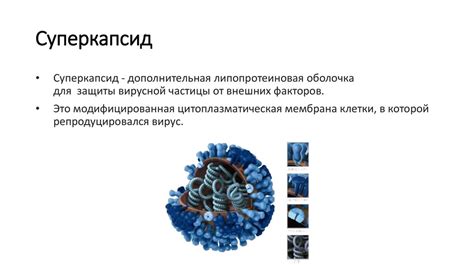 Строение вируса презентация онлайн