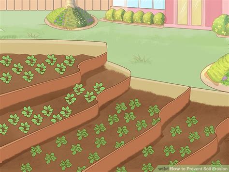 How To Prevent Soil Erosion 15 Steps With Pictures WikiHow