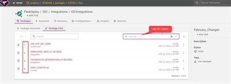 Oracle Integration Cloud Migrate Integrations Connections And Lookups Flexagon