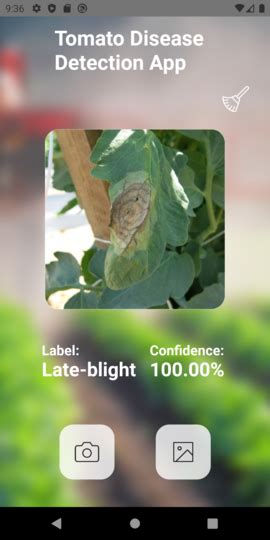 GitHub Georgemuriithi Tomato Disease Detection This Is An End To End Project In The