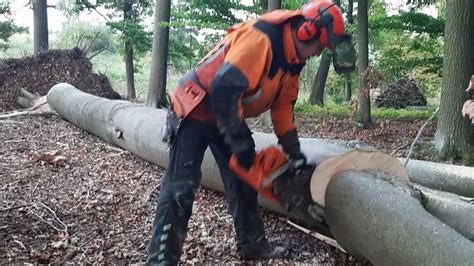 Little Harvester And Cutting Deciduous Trees Gardenandforest Youtube