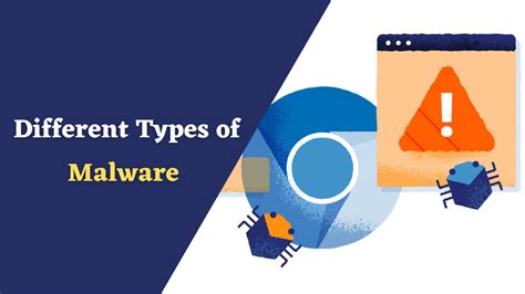 Different Types Of Malware The Ultimate Guide KVS Computers
