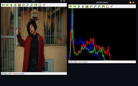 Calhist 使用opencv和c计算直方图cvcalchist Csdn博客