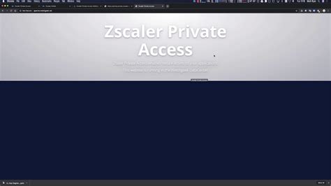 Form Based Authentication Zscaler At James Browning Blog