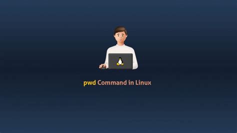 Pwd Command In Linux Linuxips