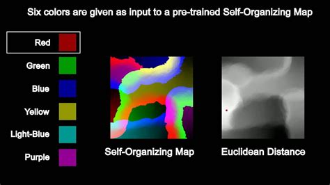 Self Organizing Map Euclidean Distance Estimation Python Youtube