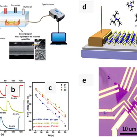 A Optical Gas Sensors Set Up Based On Optical Fiber Coated With Download Scientific Diagram