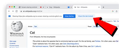 Privacy Preserving Screen Sharing Controls Web Platform Chrome For Developers