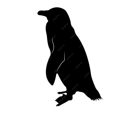 Silueta De Pingüino Plano Vectorial Aislada Sobre Fondo Blanco Vector
