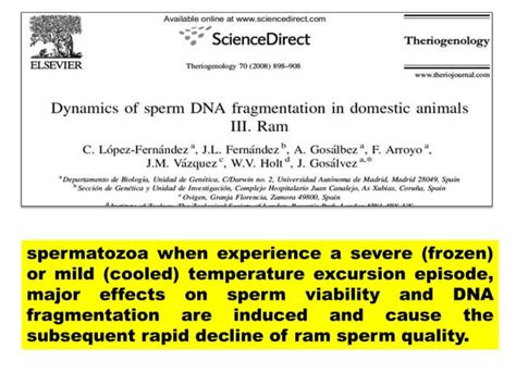 Sperm DNA Fragmentation Mechanism Of Origin And Its Effect On Fertility PPTX Infertility