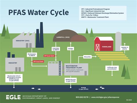 Ecosystem Diagrams For Water Treatment Plants Schematic Layo