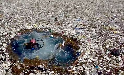 Garbage Island Pacific Ocean Current Garbage Island Pacific Ocean Current