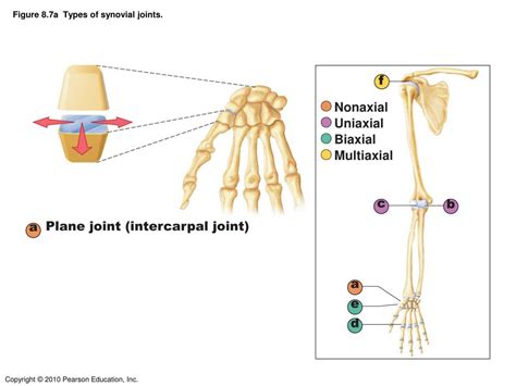 Ppt Joints Powerpoint Presentation Free Download Id 3118287