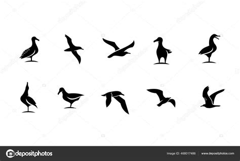 Set Collection Seagull Bird Silhouette Black Logo Icon Design Isolated