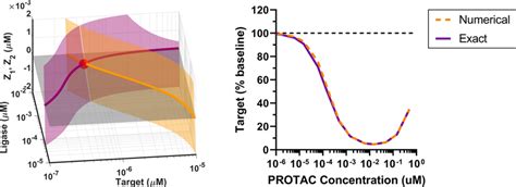 Left Example Of A Solution To The Protac Model Each Surface Download Scientific Diagram
