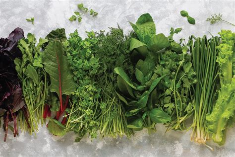 Increase Platelet Count Naturally With Food Nutrients Supplements