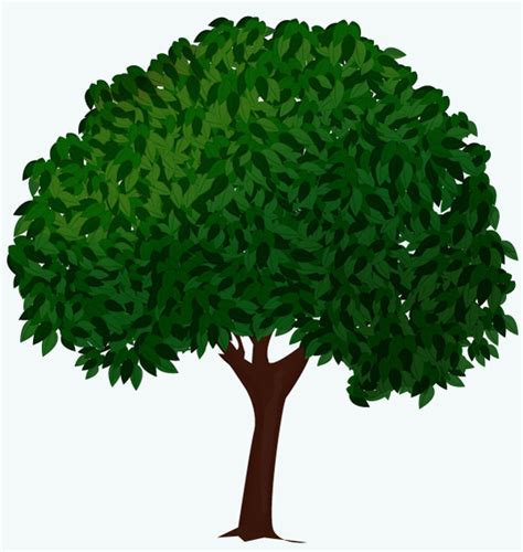 25 Best Of How To In Illustrator Brush Tutorials Envato Tuts