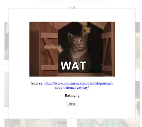 React 101 Part 1 Building A GIF Search Engine Tighten
