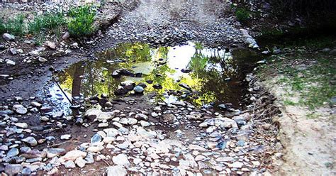 Environmentalists Consider Lawsuit Over Suffolk County Sewer Fund Raid