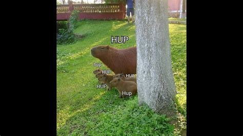 Common Stock Gsa Vehicle With Fraudulent Plates Elucidates