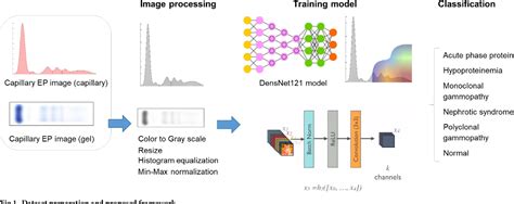 Figure 1 From Development And Validation Of A Deep Learning Based