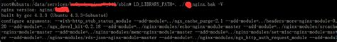 Nginx如何查看版本号和编译参数nginx查看编译参数 Csdn博客