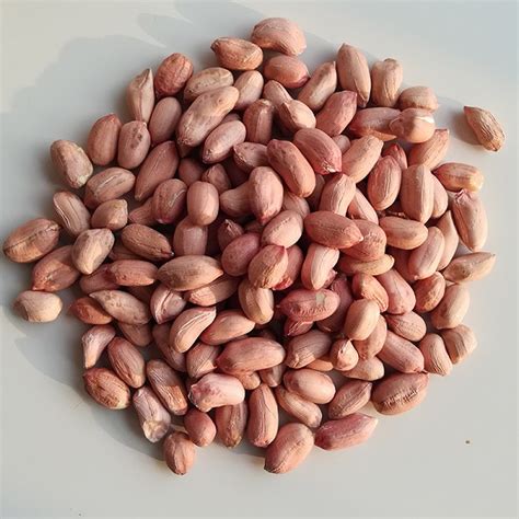 大汶口花生详细介绍 泰安特产 特色谷