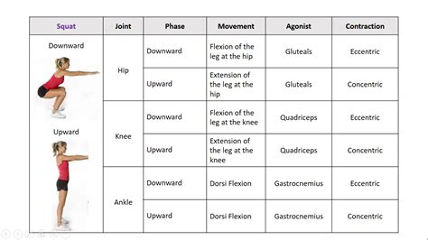 Movement Analysis Gcse Pe Aqa Teaching Resources