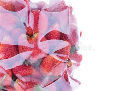 Gingival Bleeding Stock Image Image Of Hygiene Examine 29421053