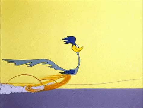 Roadrunner  Road Runner Stretching Himself Out By
