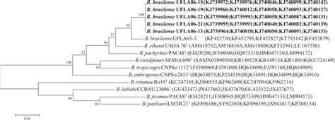 Maximum Likelihood Phylogeny Based On Partial Concatenated Sequences